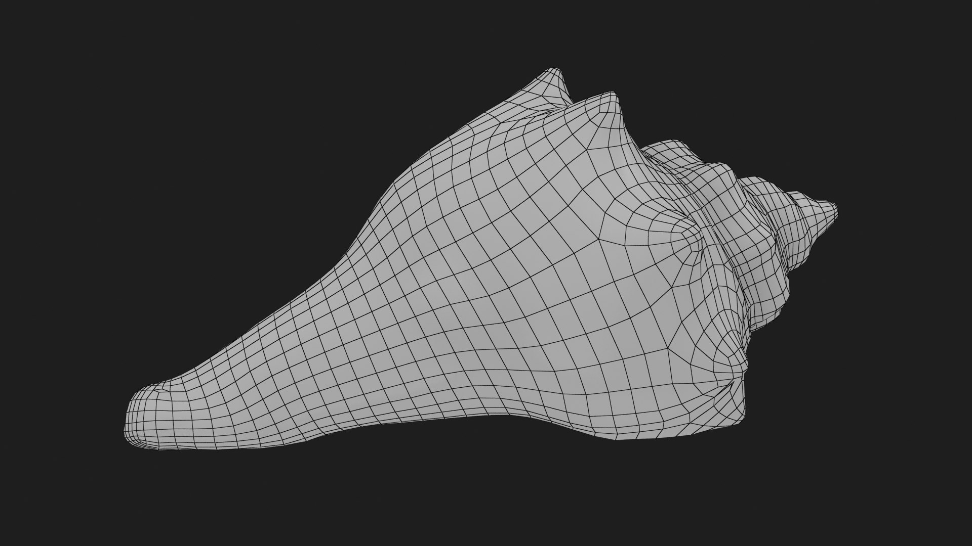 Sea shell seashell 3D model - TurboSquid 1701035