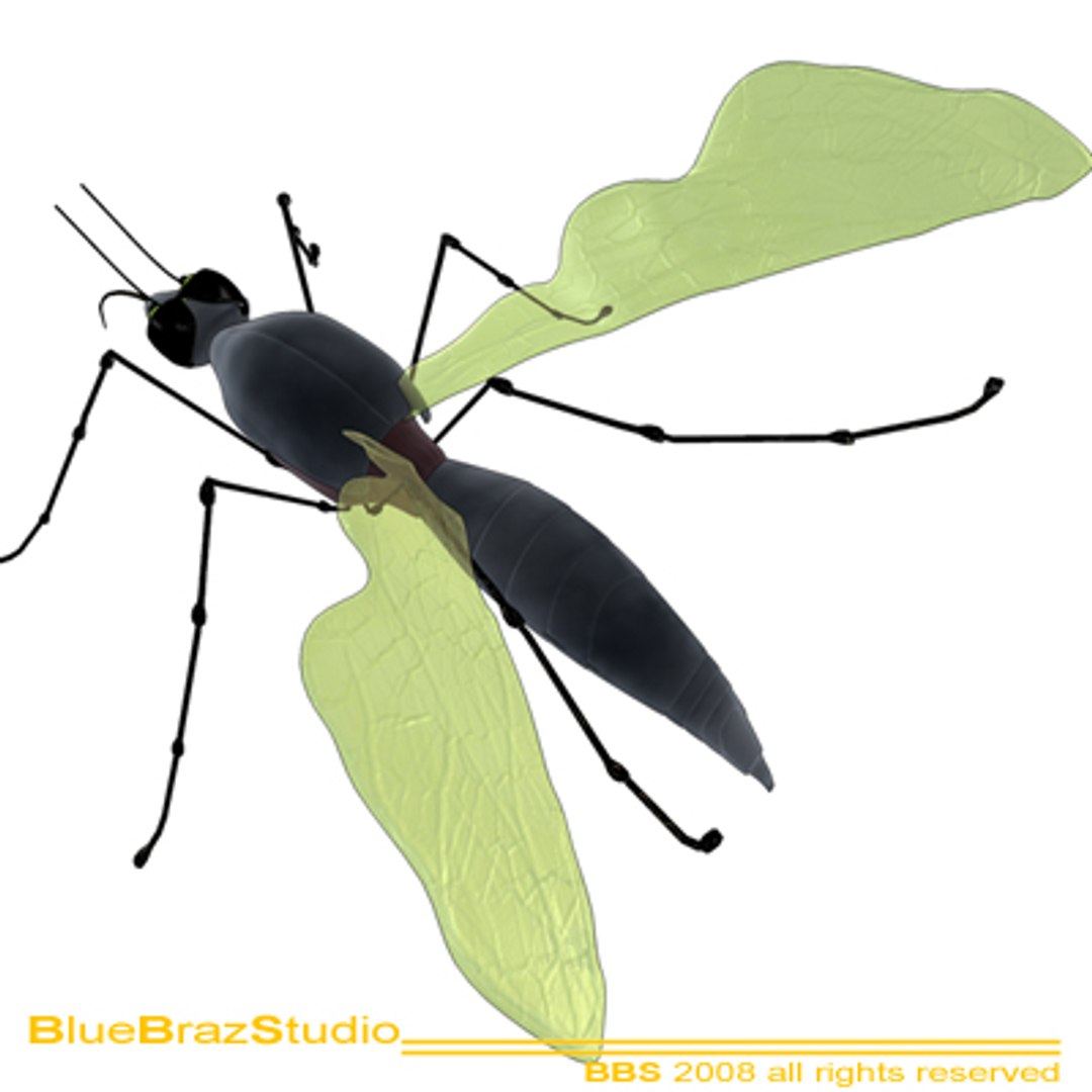 Mosquito Cartoon 3d Model