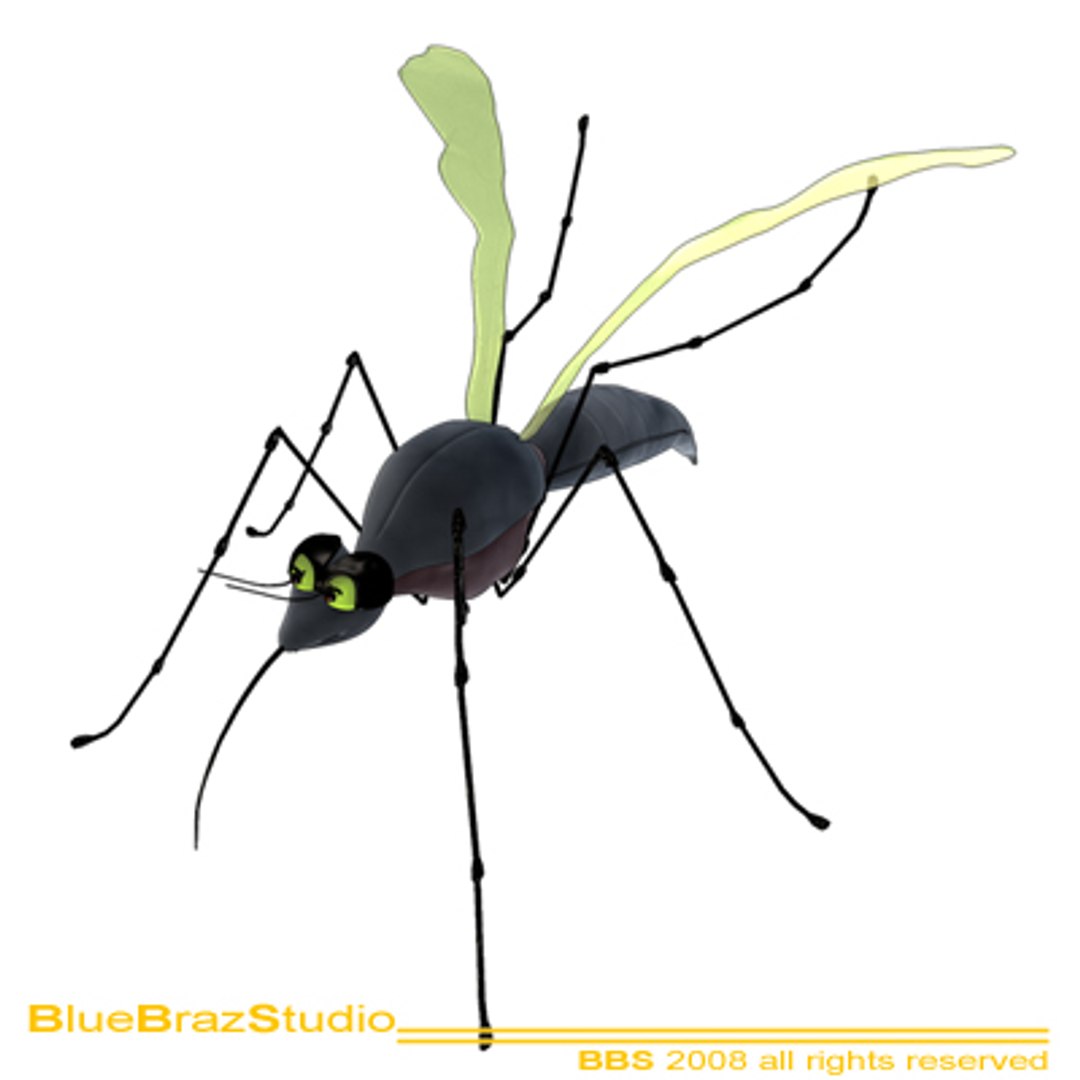 Mosquito Cartoon 3d Model