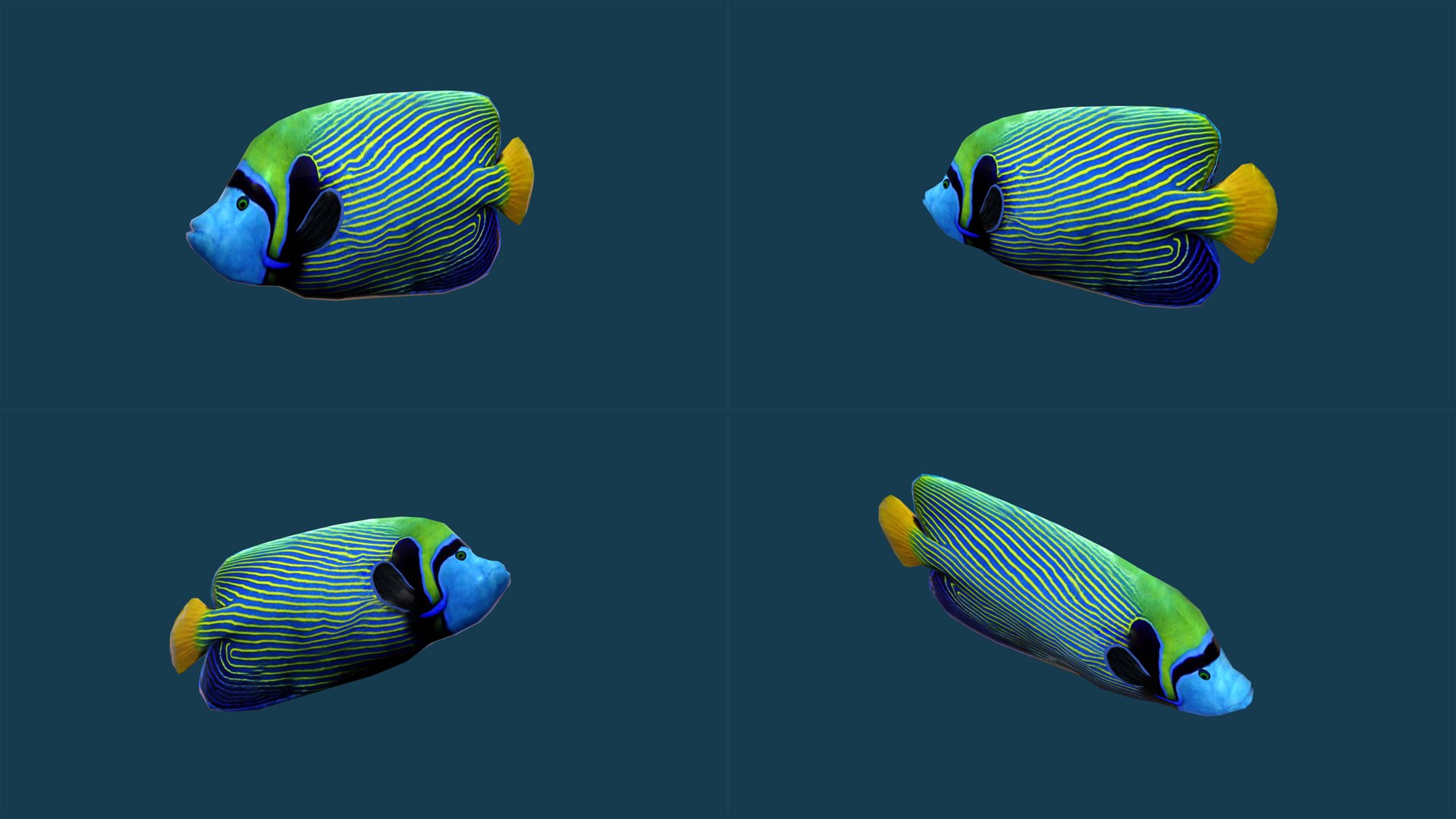 3D fish - ready pack 2 - TurboSquid 1300835