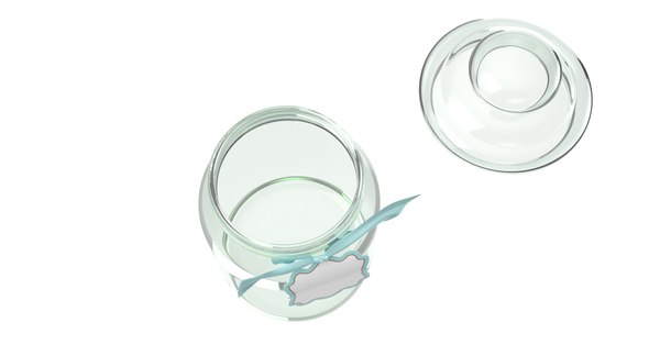 Large Jars Bottles Collection 3D model - TurboSquid 1854773