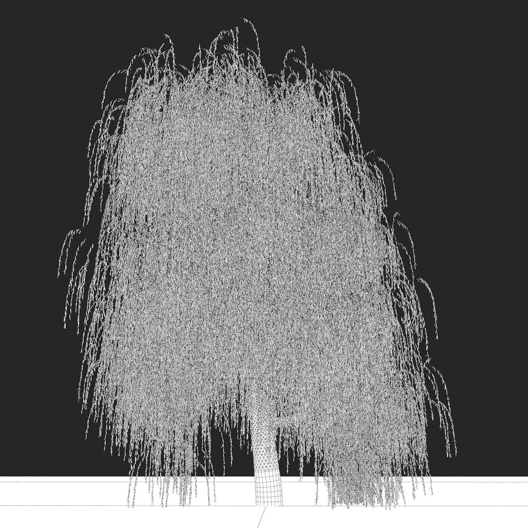 3d Model Willow Tree