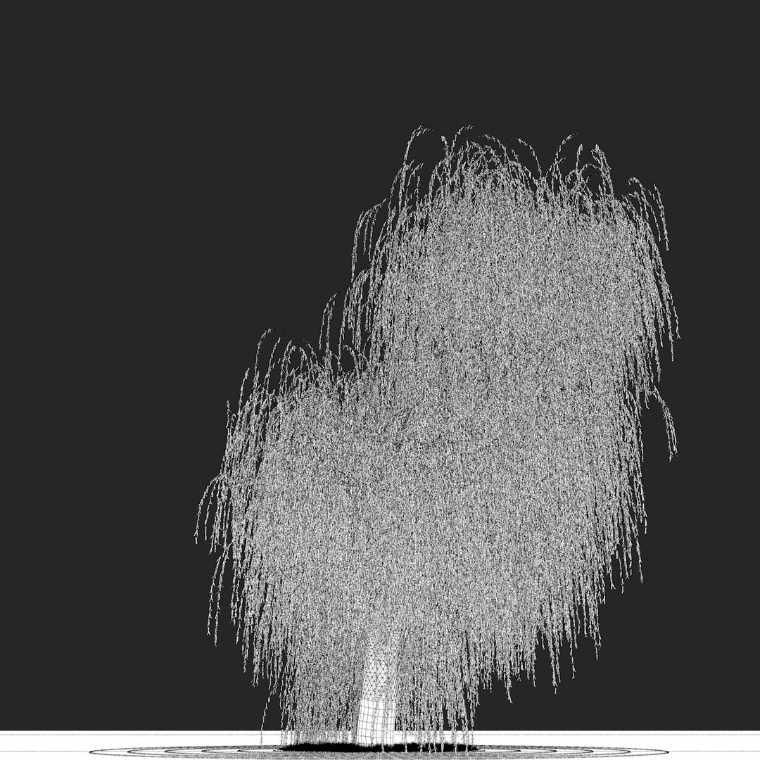 3d Model Willow Tree