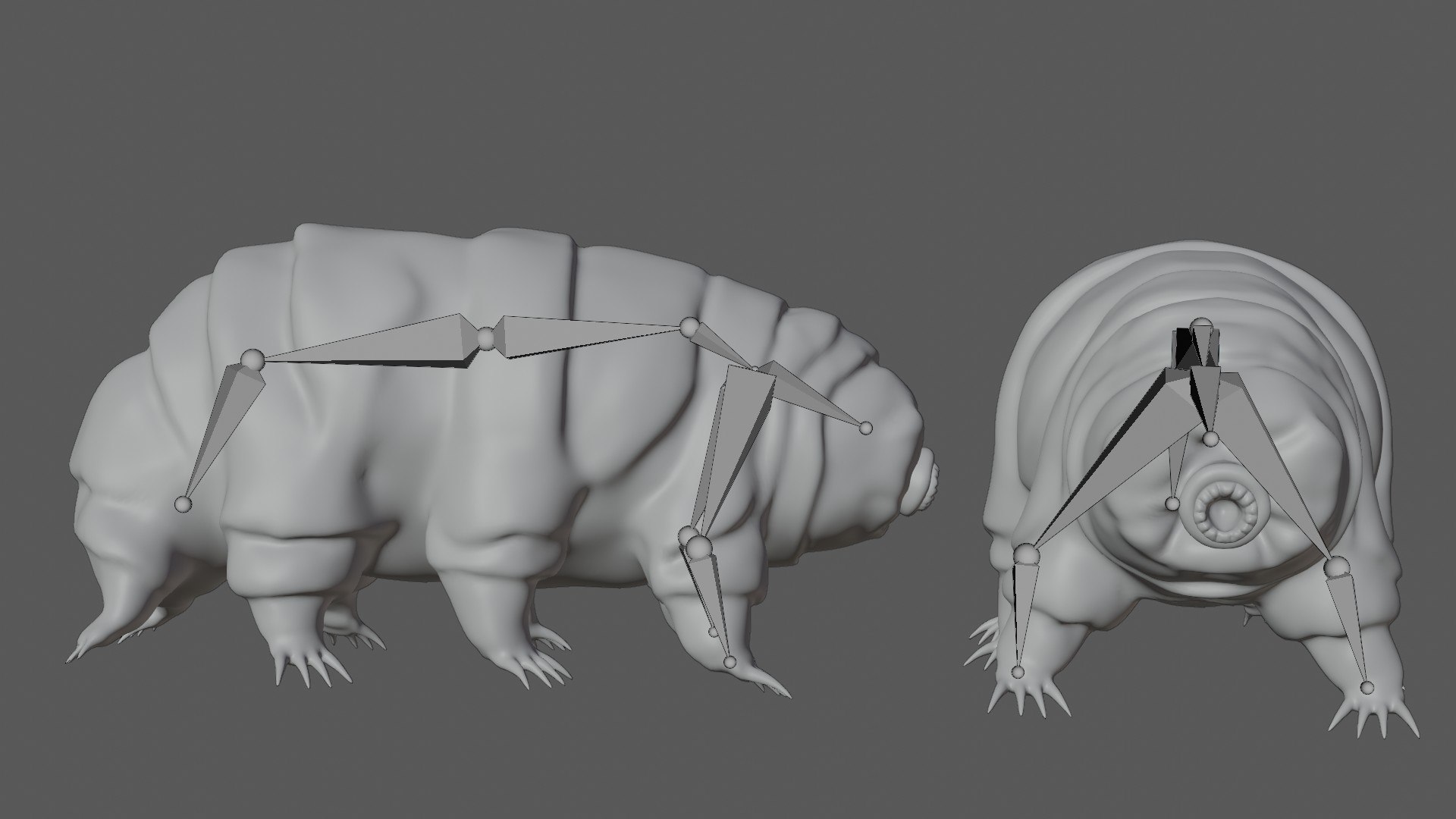 3D Rigged Tardigrade Water Bear - TurboSquid 1778995