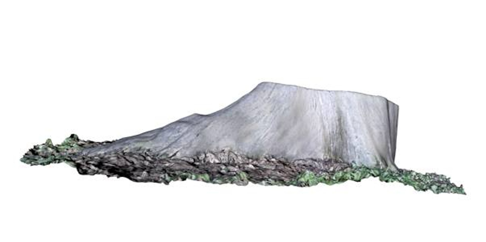 Realistic Tree Stump 3d C4d