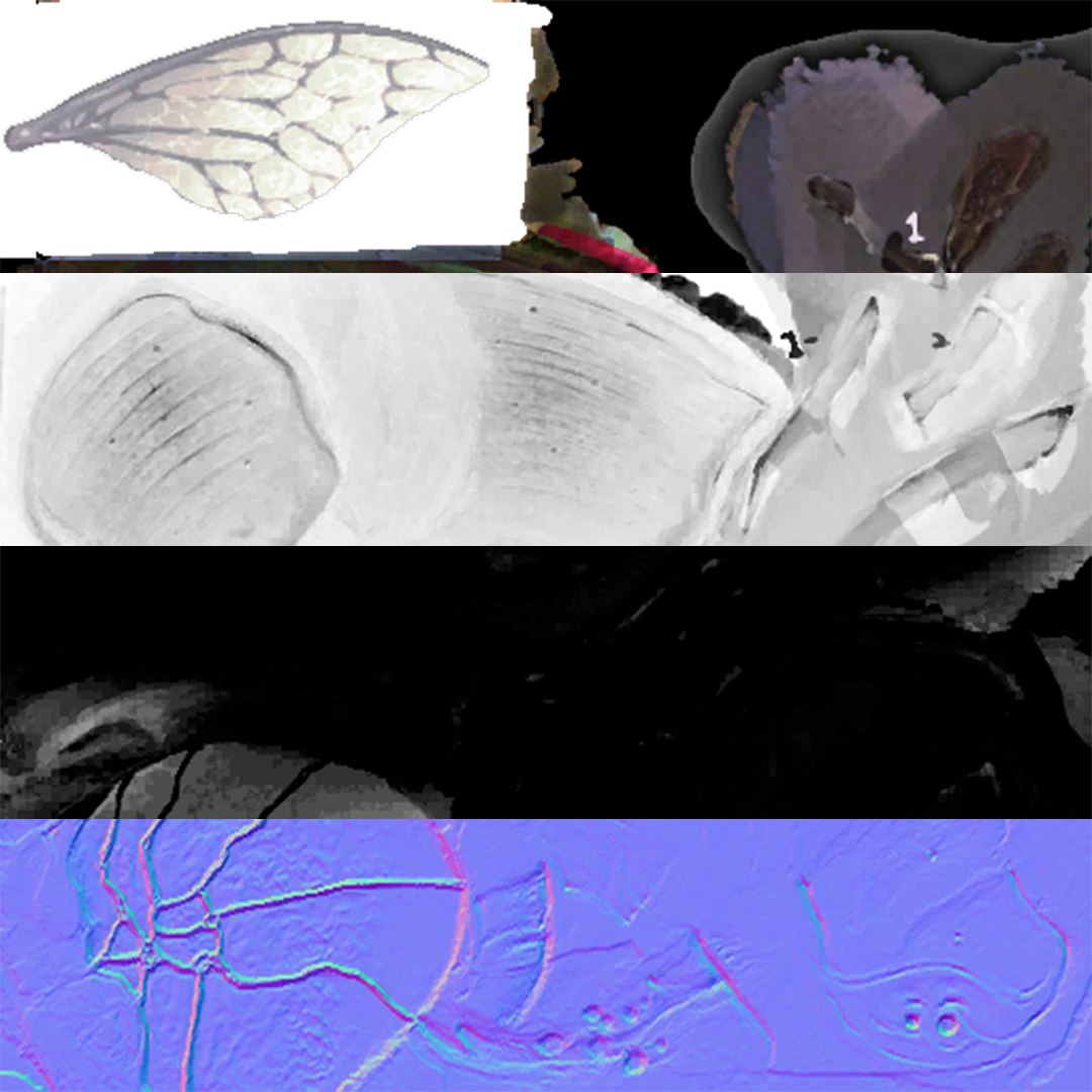 3D Herc Beetle - TurboSquid 2124669