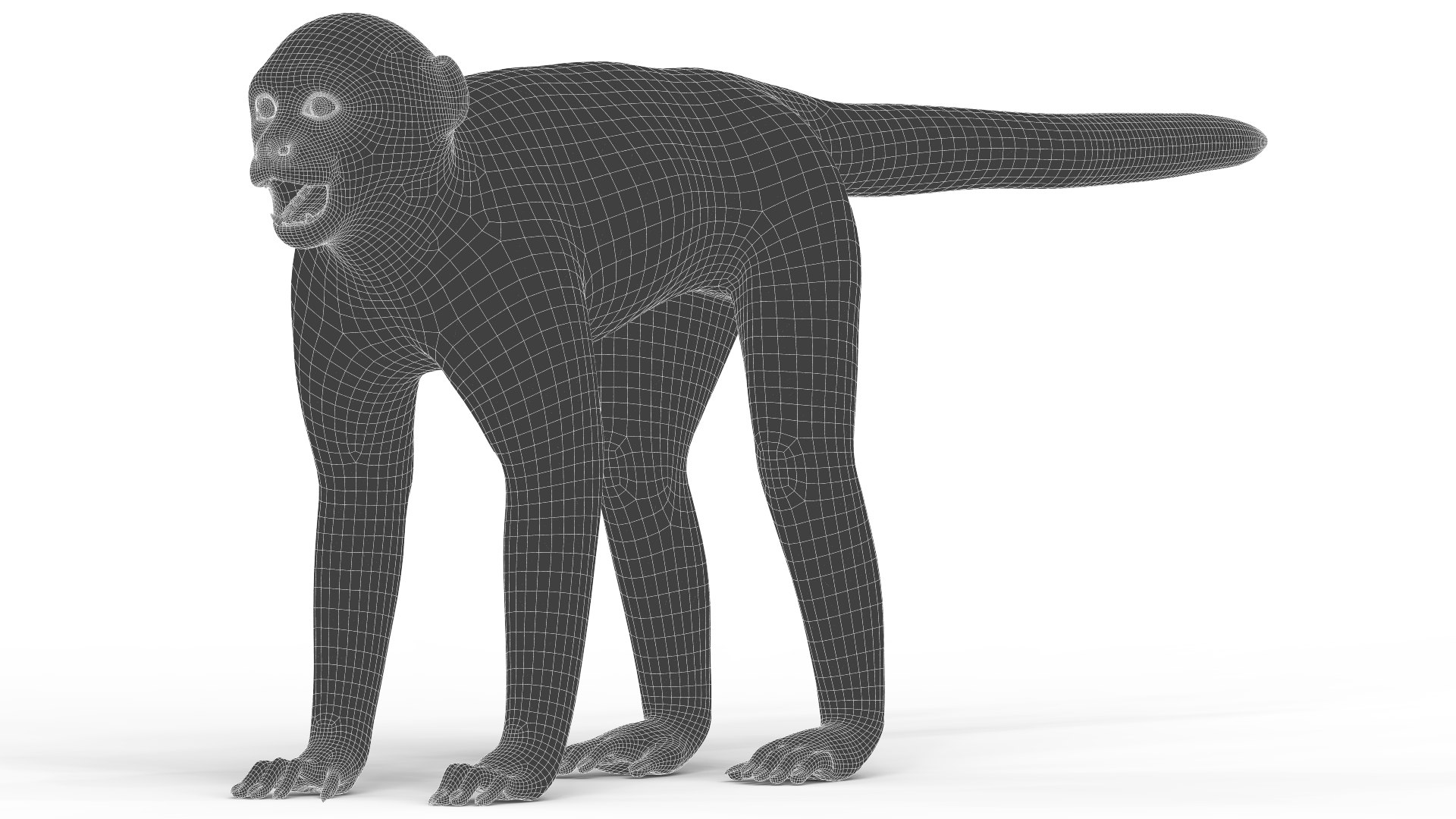 Capuchin Monkey With PBR Textures 3D Model - TurboSquid 1848667