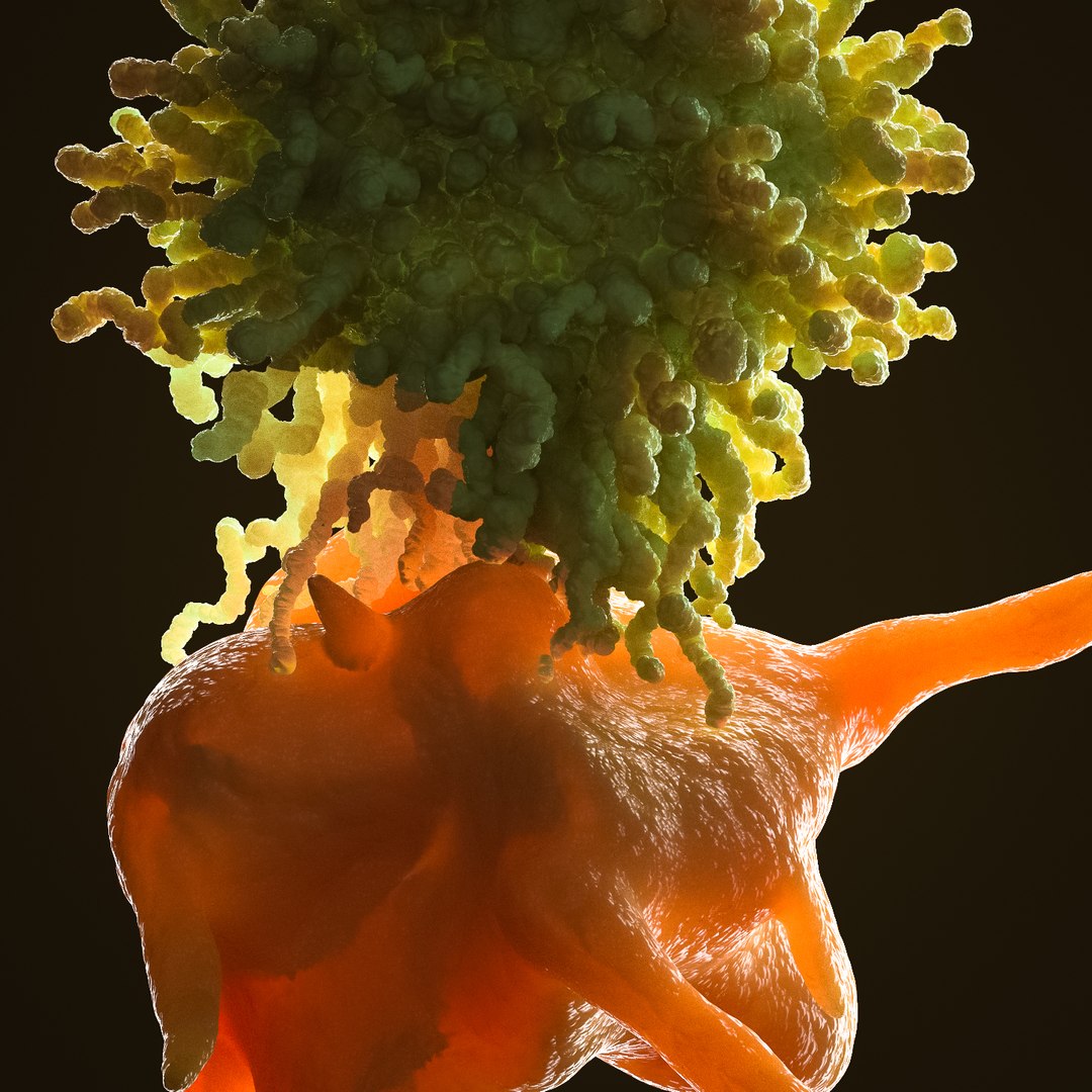 Cancer Cell 3D Model - TurboSquid 1547829