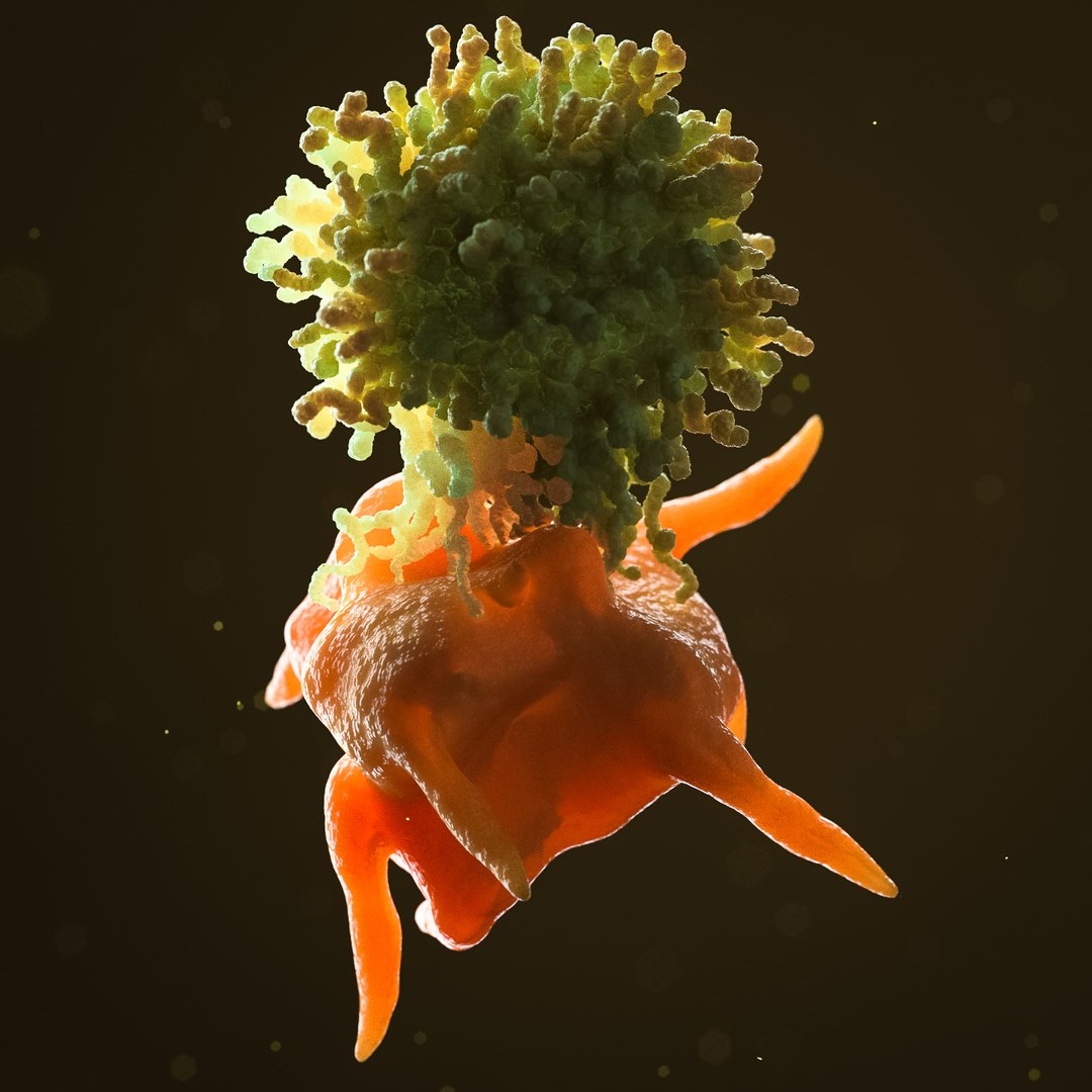 Cancer Cell 3d Model Turbosquid 1547829