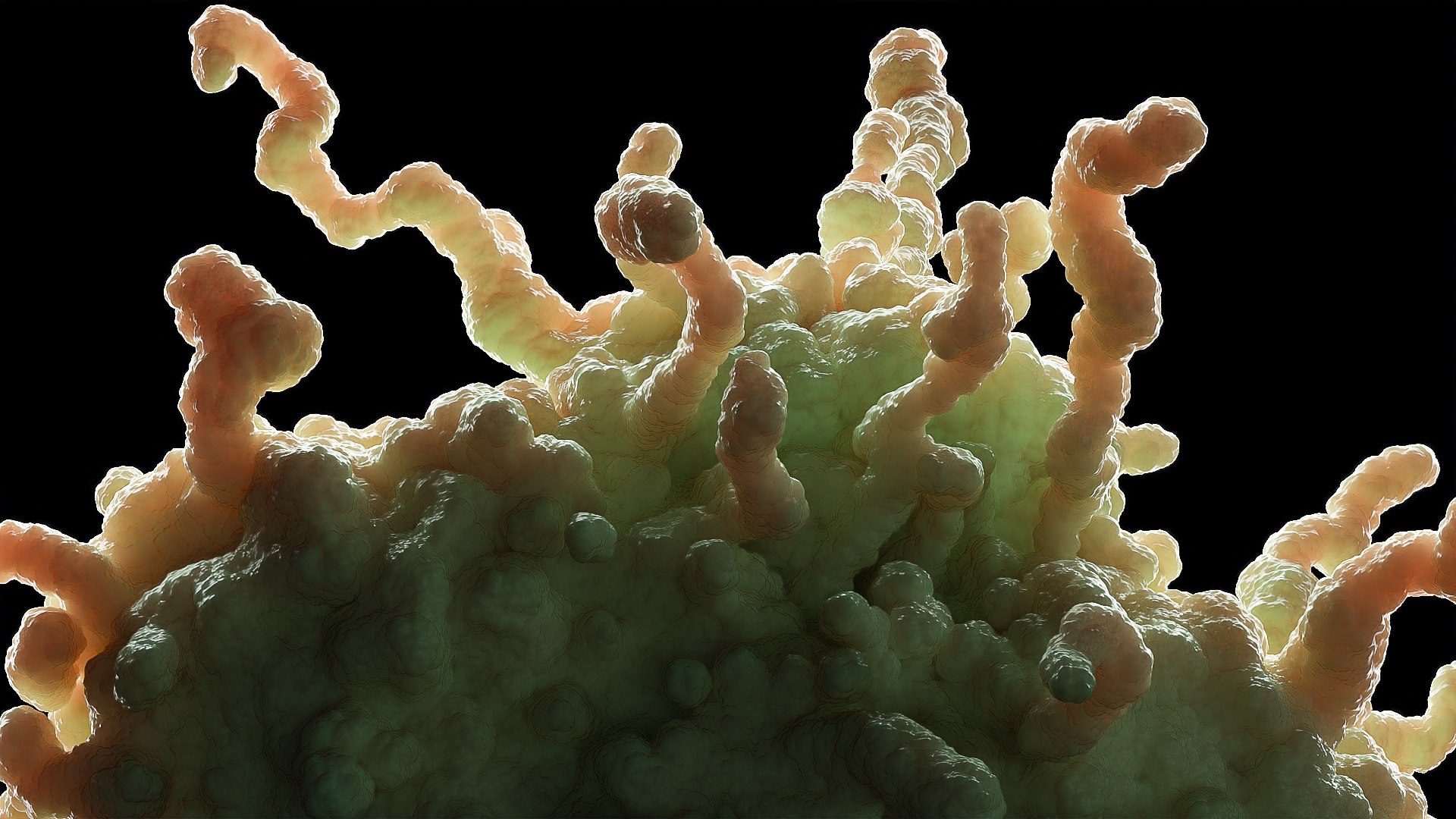 Cancer Cell 3d Model Turbosquid 1547829