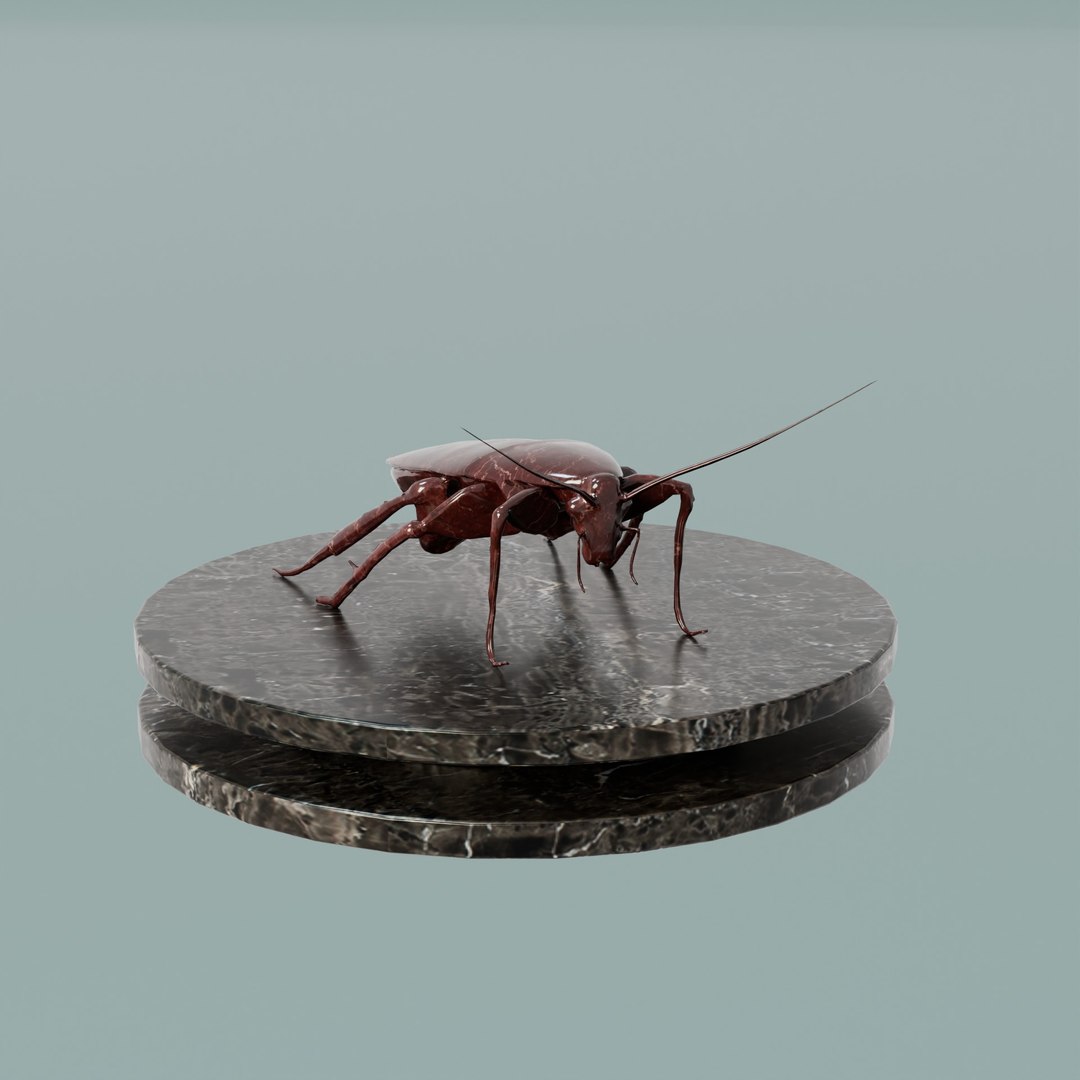 3D Model House Decoration Cockroach Statue - TurboSquid 2307335