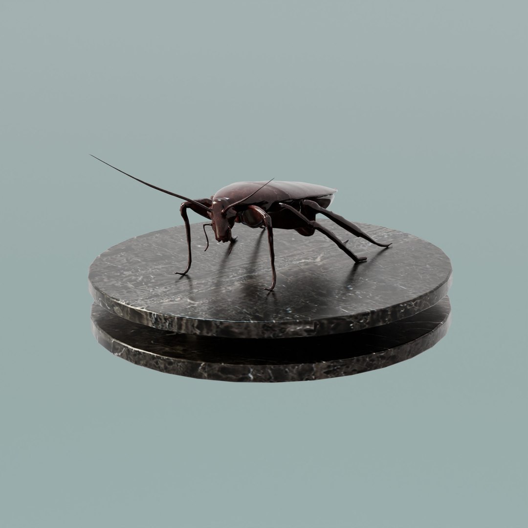 3D Model House Decoration Cockroach Statue - TurboSquid 2307335