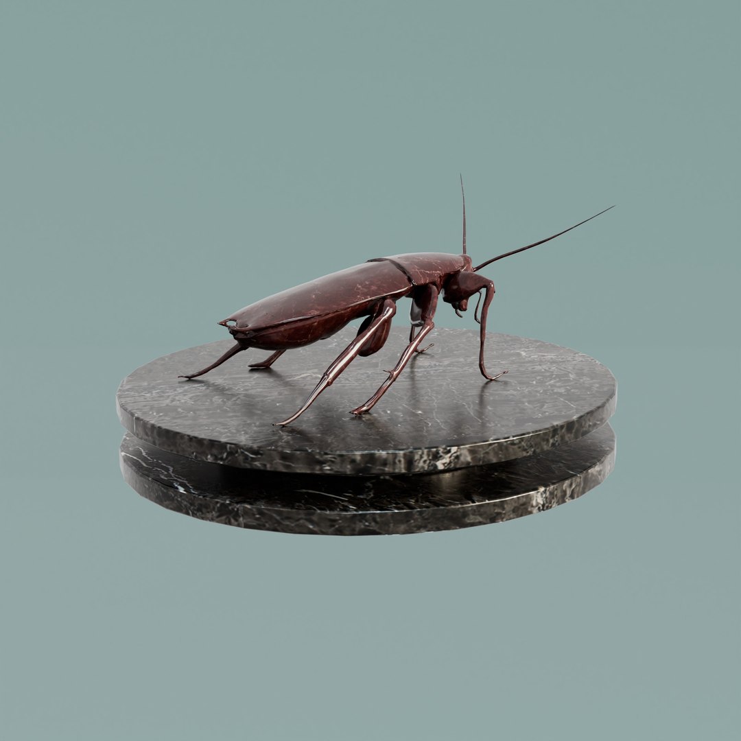 3D Model House Decoration Cockroach Statue - TurboSquid 2307335