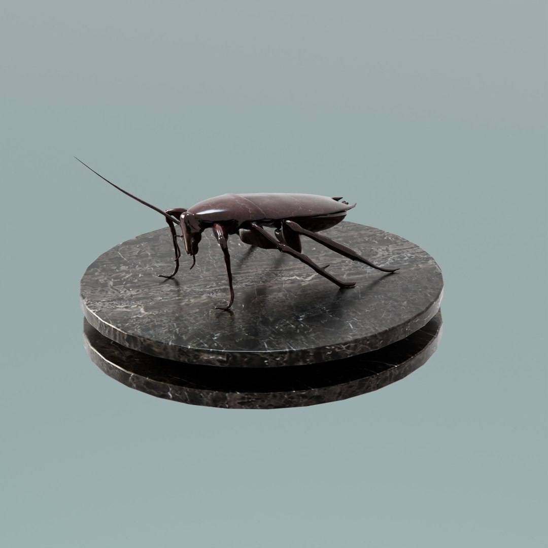 3D Model House Decoration Cockroach Statue - TurboSquid 2307335