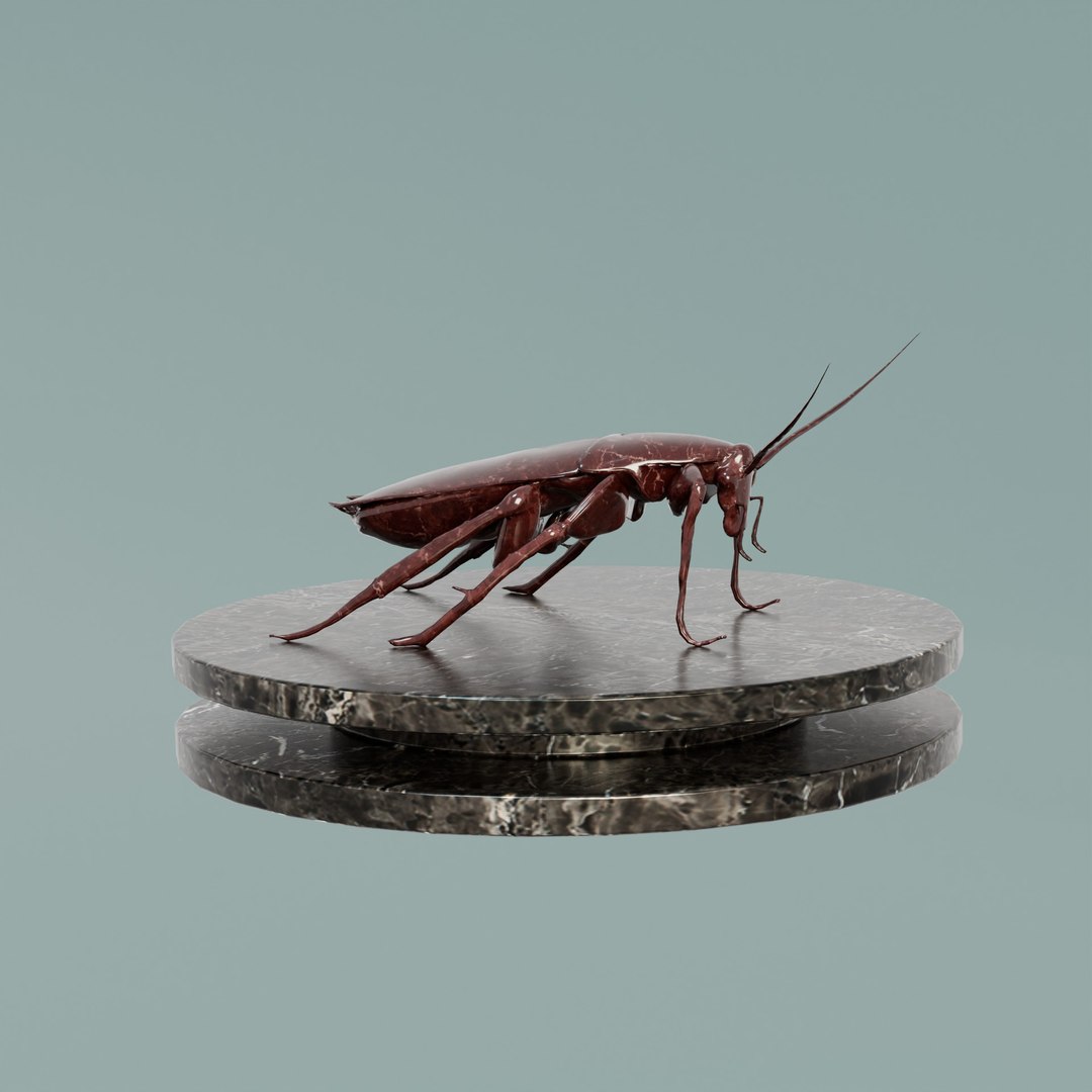 3D Model House Decoration Cockroach Statue - TurboSquid 2307335