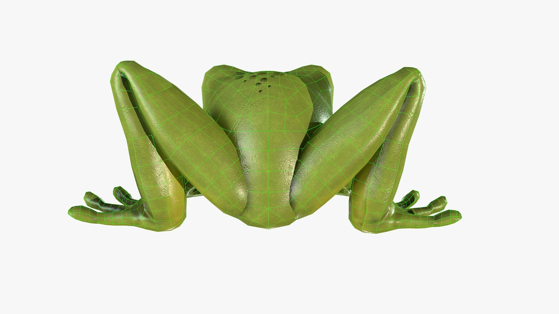 Stylized Cartoon Frog 3D Model - TurboSquid 1432662