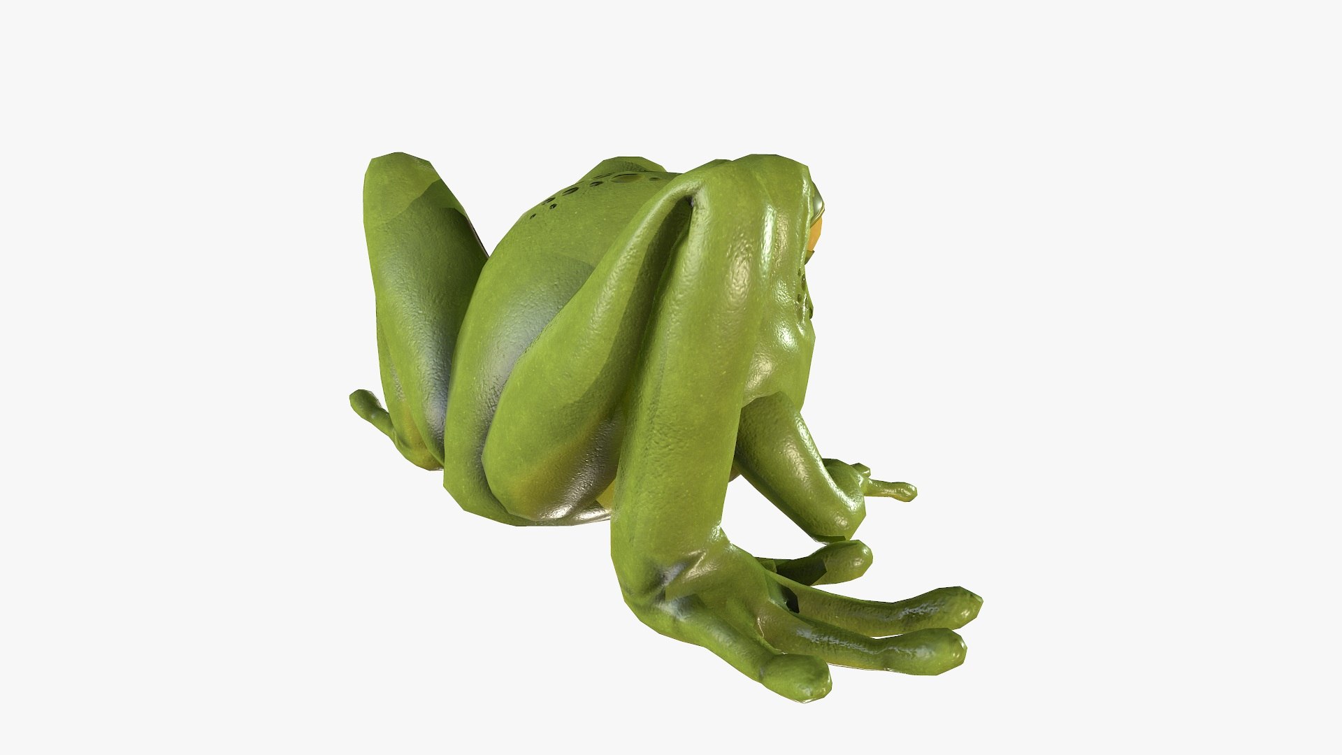 Stylized Cartoon Frog 3D Model - TurboSquid 1432662