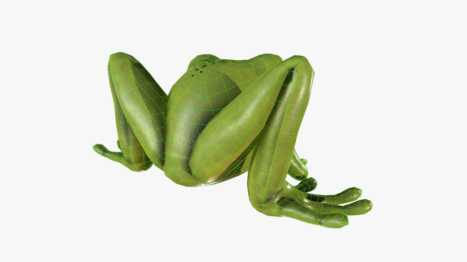 Stylized Cartoon Frog 3D Model - TurboSquid 1432662