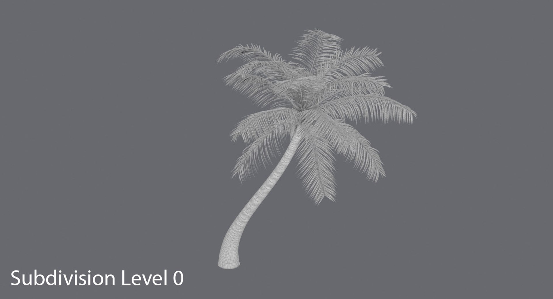 3d Model Of Palm-tree---tree-04