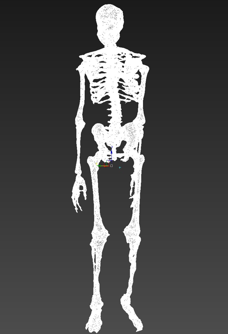 3D Real Human Skull Model - TurboSquid 1573691