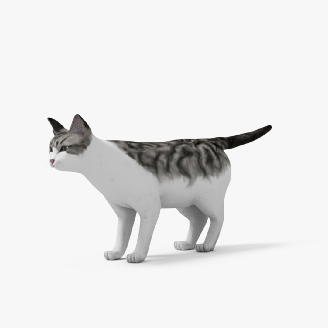 3ds max cat