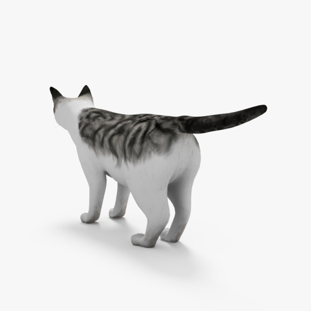 3ds max cat