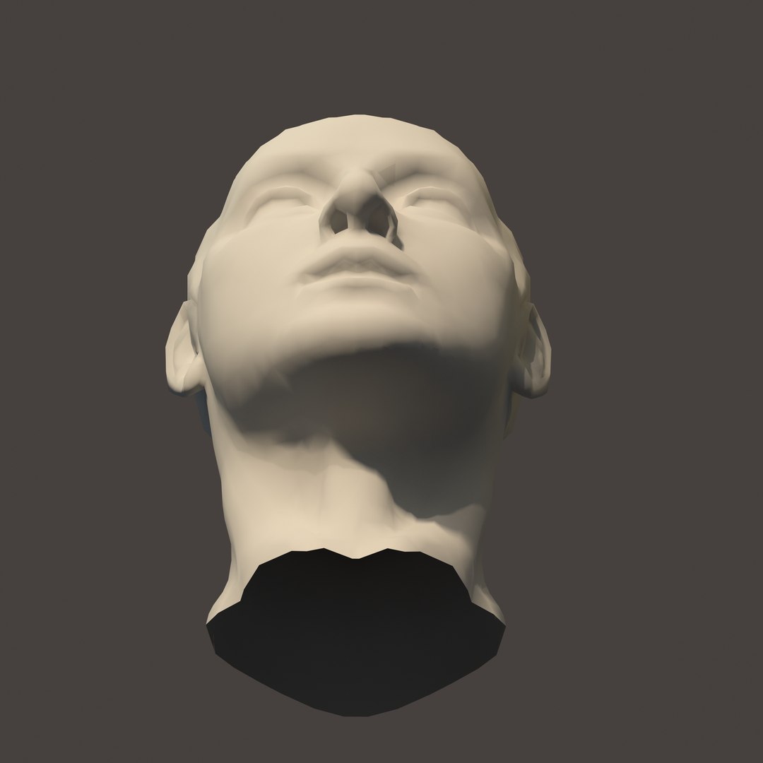 Human Head Model - TurboSquid 1534435