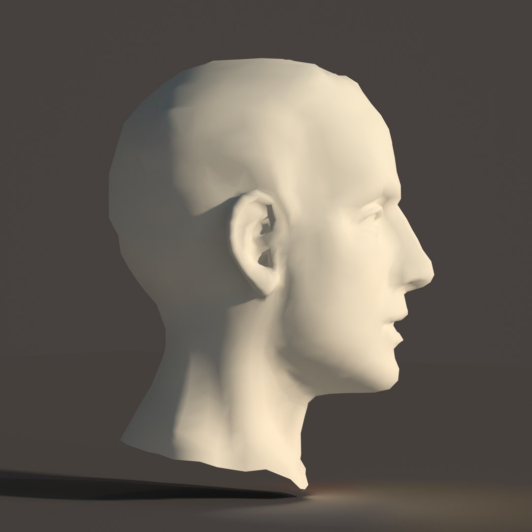 Human Head Model - TurboSquid 1534435