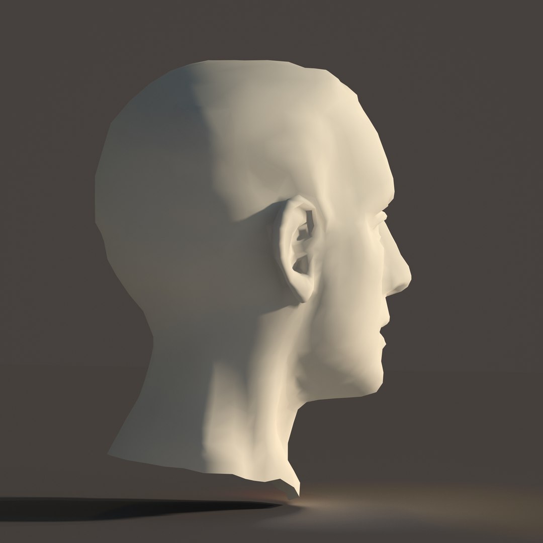 Human Head Model - TurboSquid 1534435