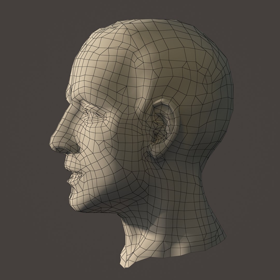 Human Head Model - TurboSquid 1534435