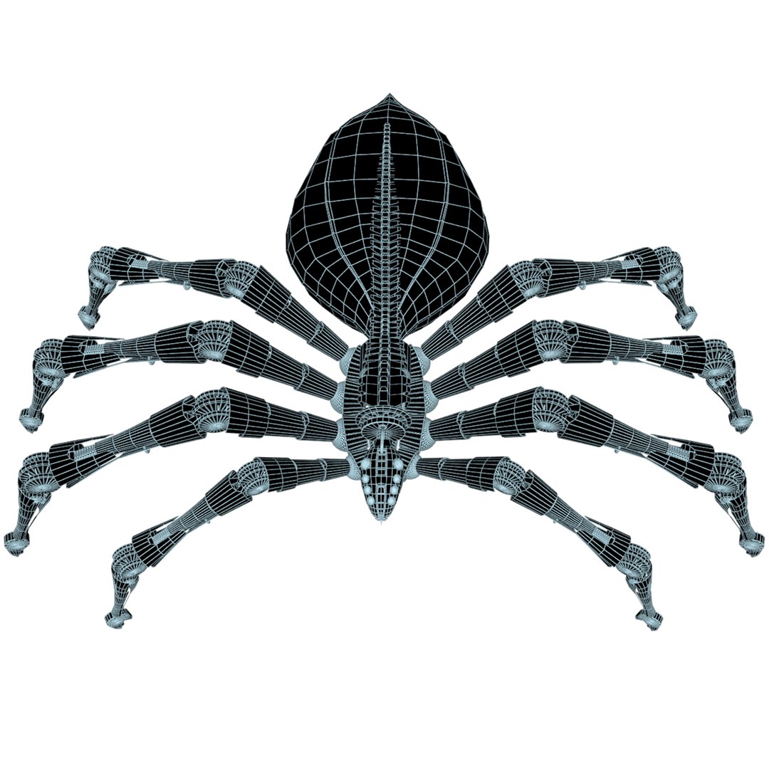 Spider 3D Model - TurboSquid 1192341