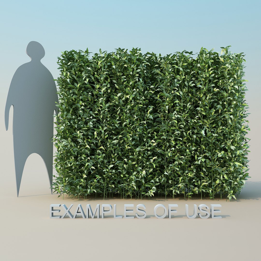 Tree Scatter 3D Model - TurboSquid 1255683