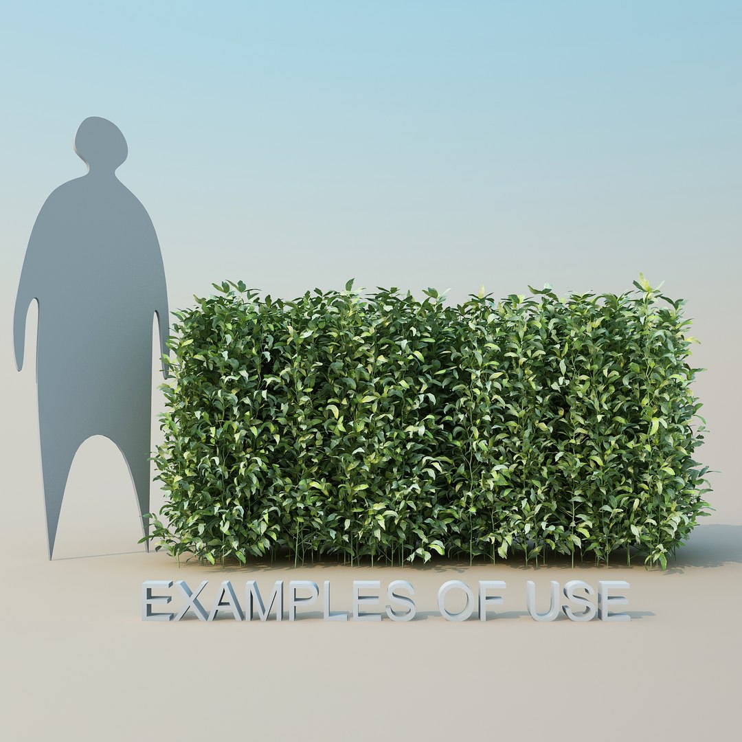 Tree Scatter 3D Model - TurboSquid 1255683