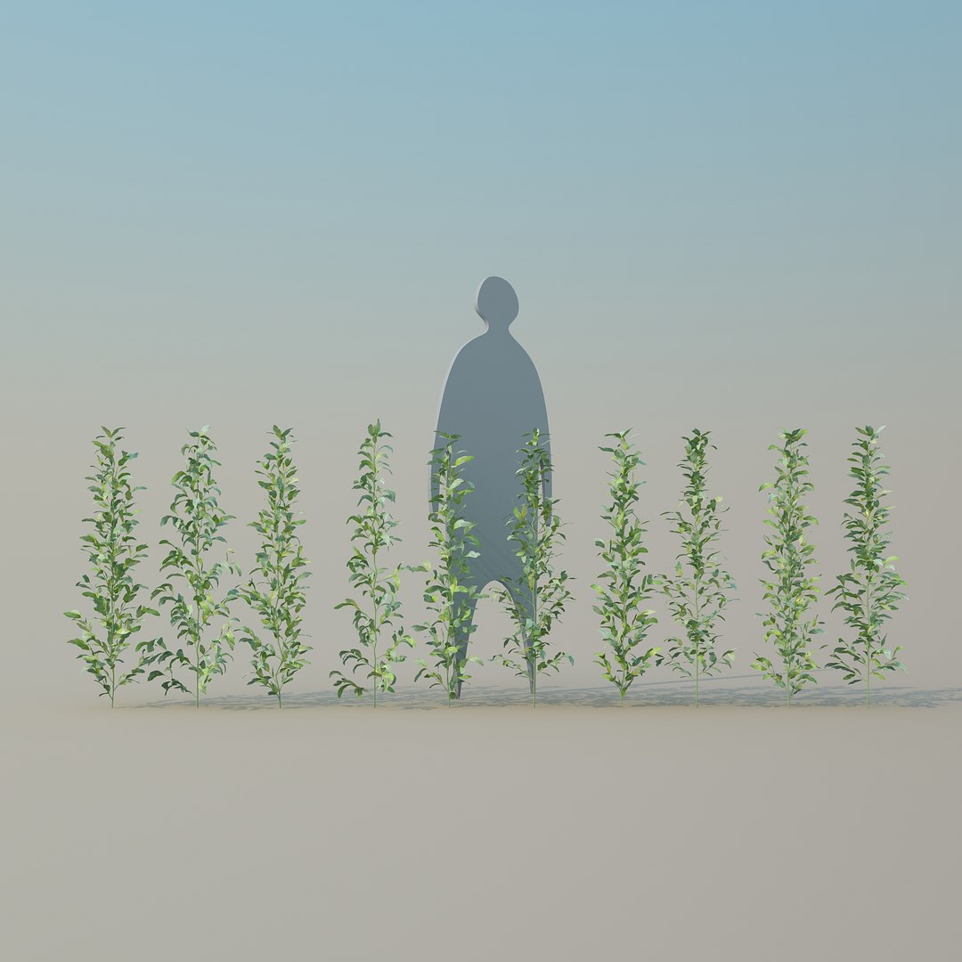 Tree Scatter 3D Model - TurboSquid 1255683