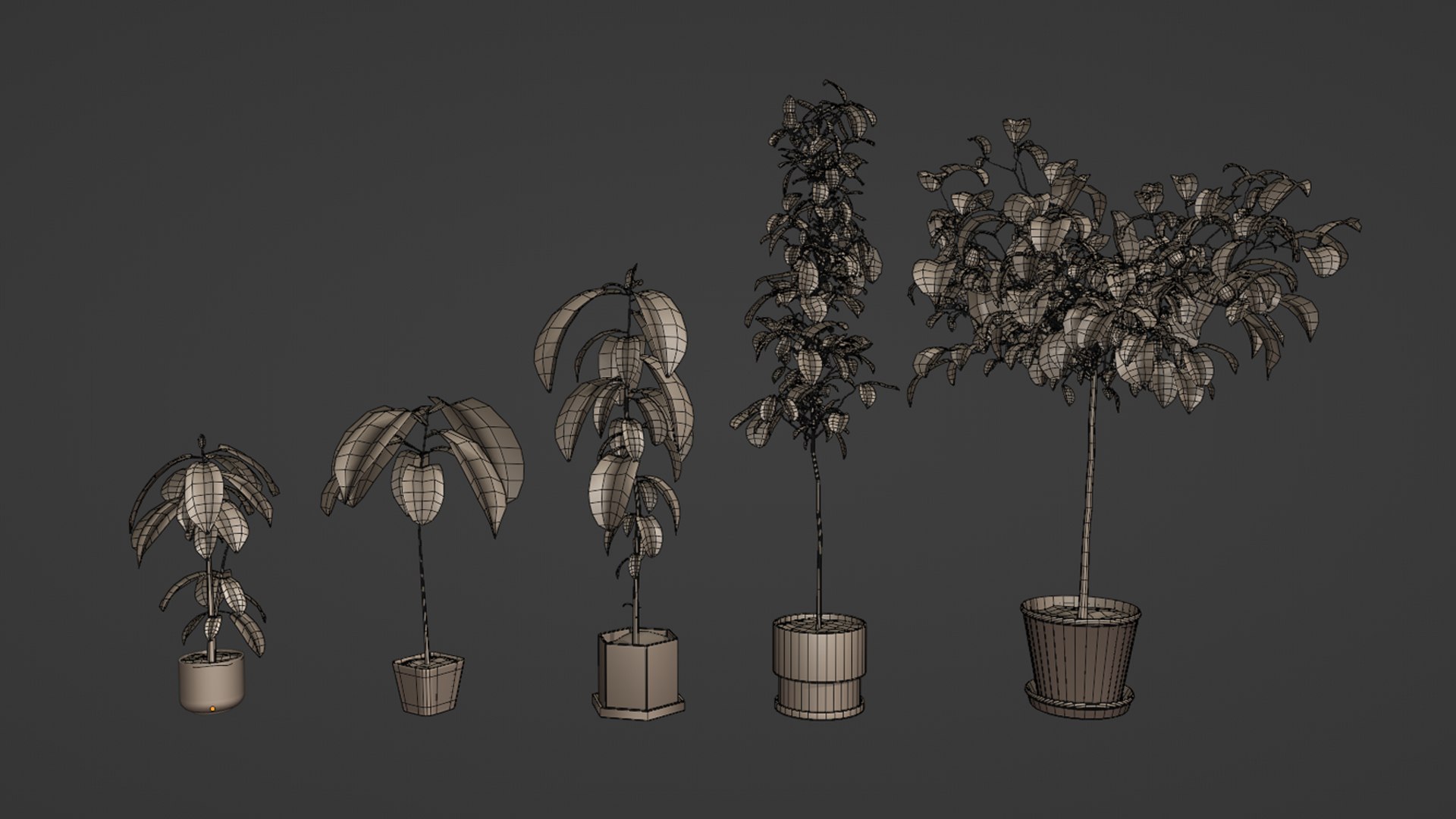 Collection Of Avocado Trees - Plants Vol 06 3D Model - TurboSquid 2088449