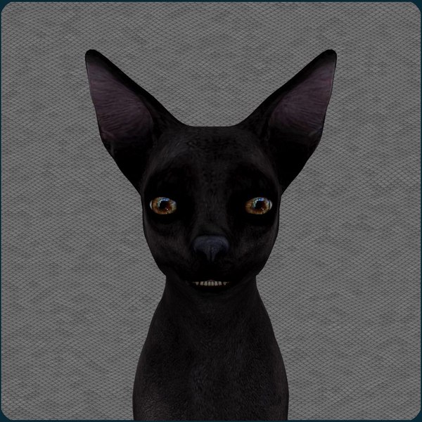 Chihuahua 3D Models for Download | TurboSquid