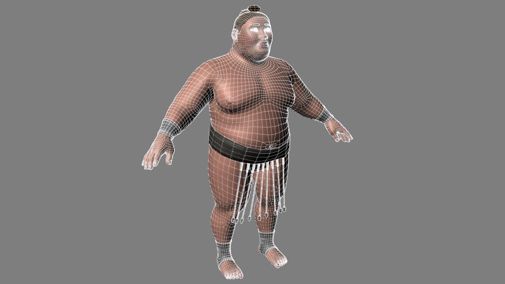 3d Sumo Wrestler