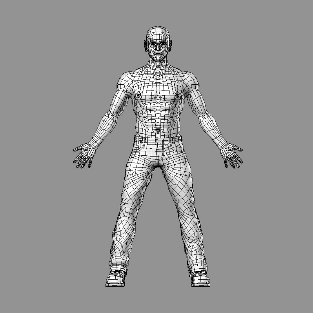 3d Model Renderer Anatomy