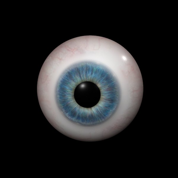 3d model eye