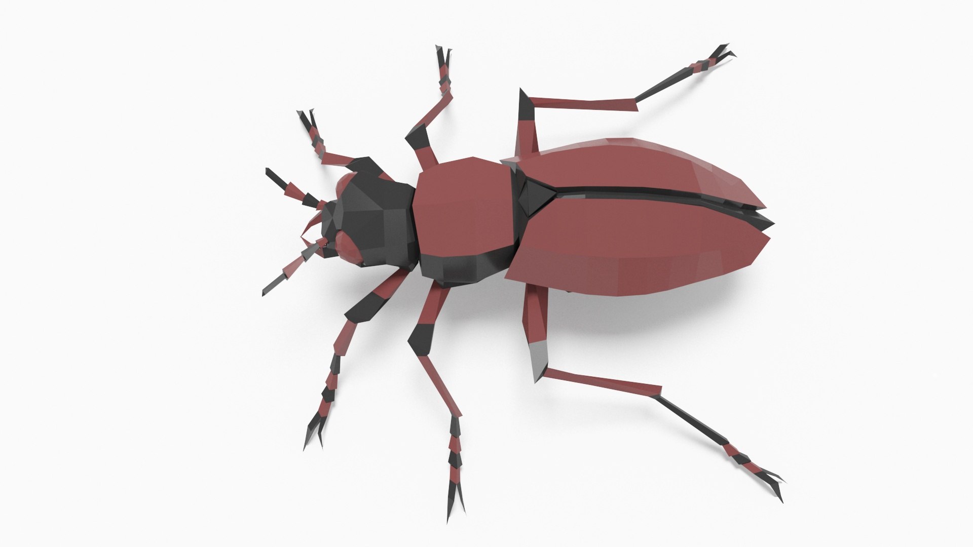 Bug 3D Model - TurboSquid 1941359