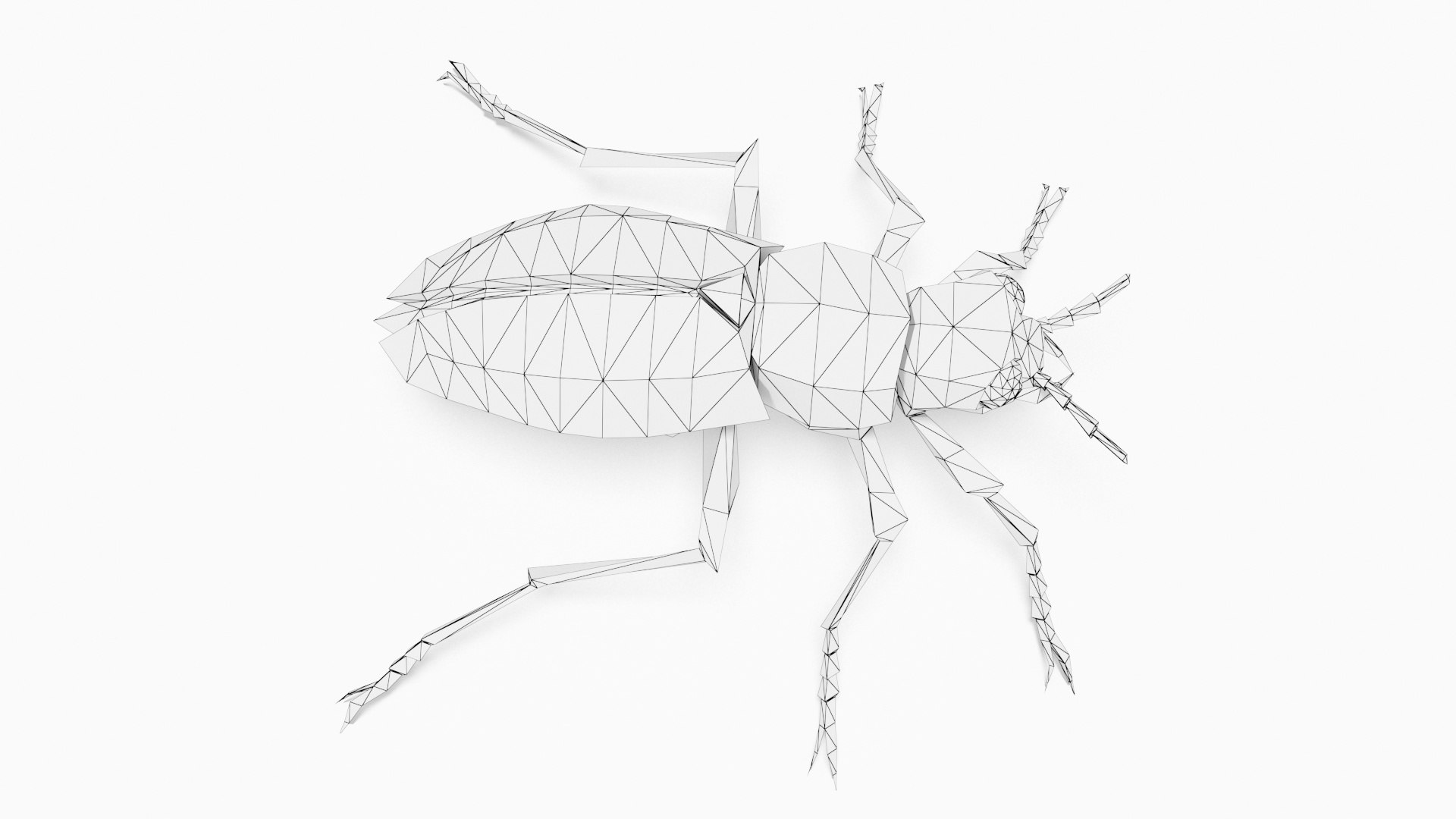 Bug 3D Model - TurboSquid 1941359