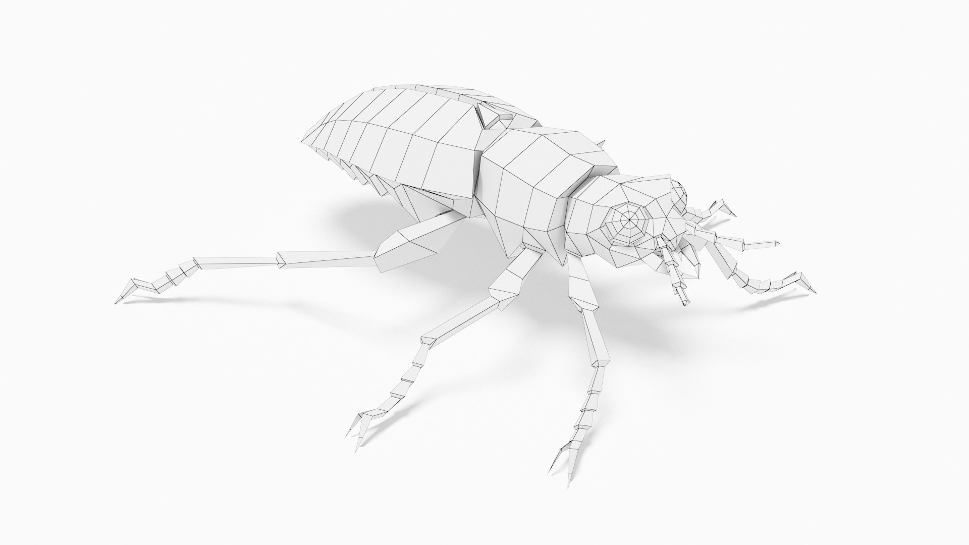 Bug 3D Model - TurboSquid 1941359