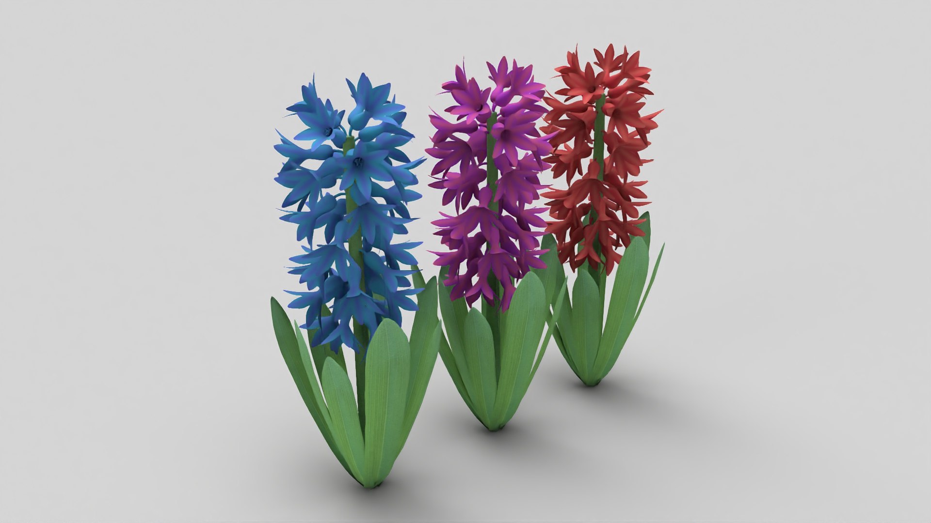3D Flower Hyacinth - TurboSquid 1618598