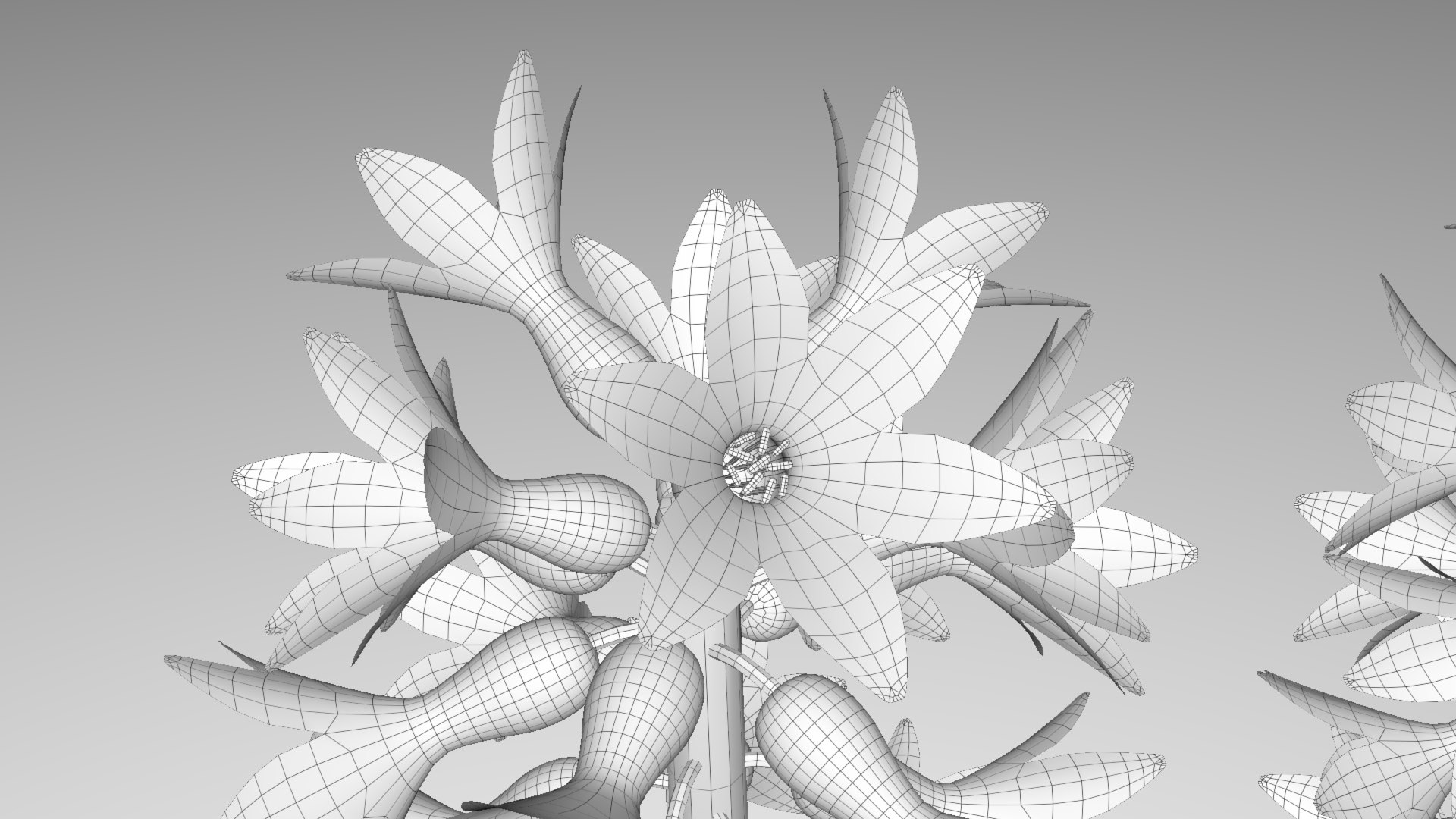 3D Flower Hyacinth - TurboSquid 1618598