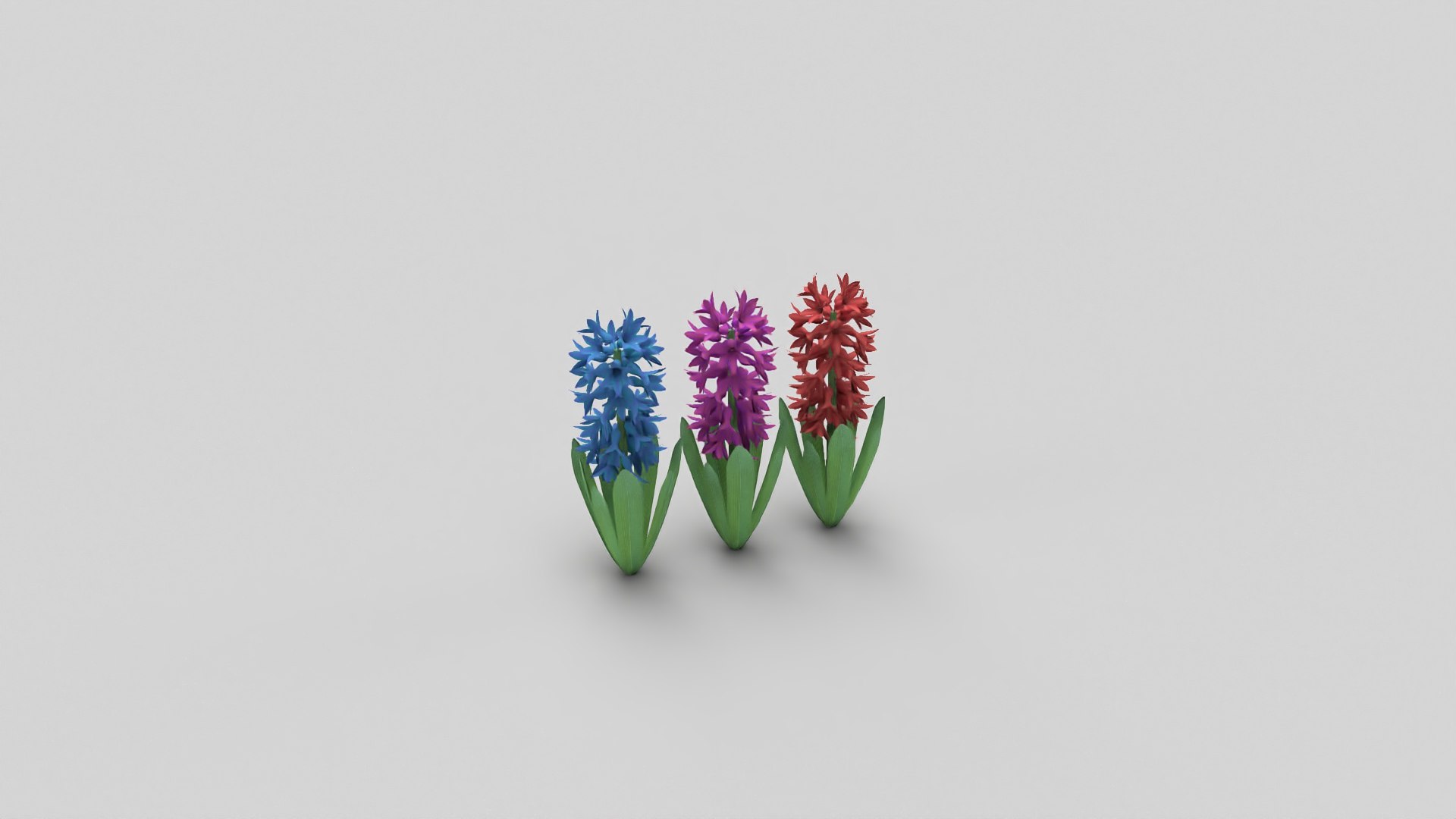 3D Flower Hyacinth - TurboSquid 1618598