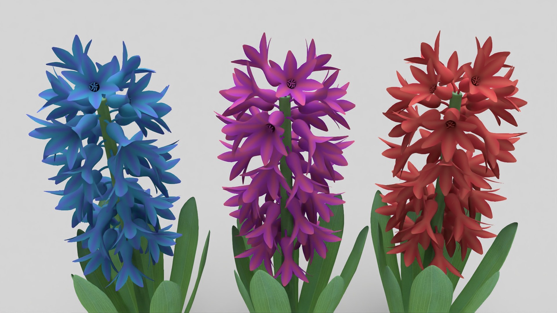 3D Flower Hyacinth - TurboSquid 1618598