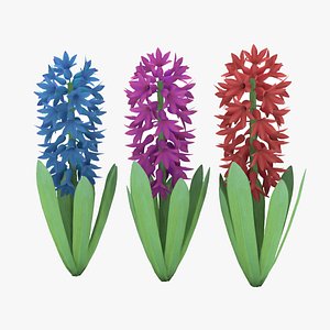 3D Hyacinth Models - Browse & Download Formats - TurboSquid