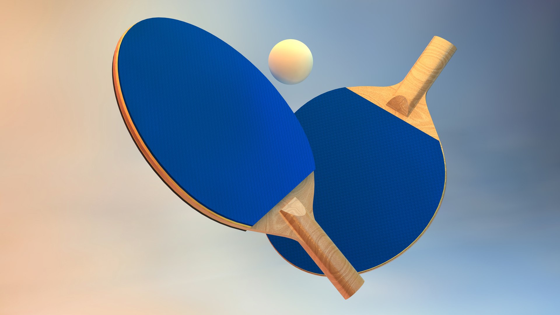 3d Table Tennis Racket Model