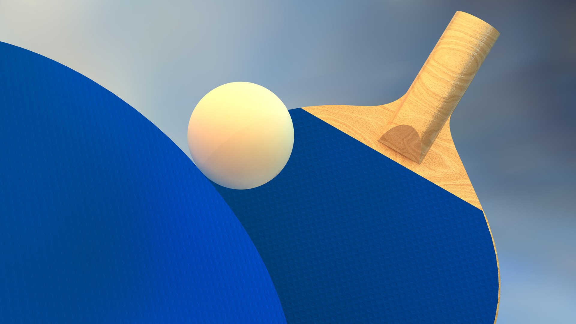 3d Table Tennis Racket Model