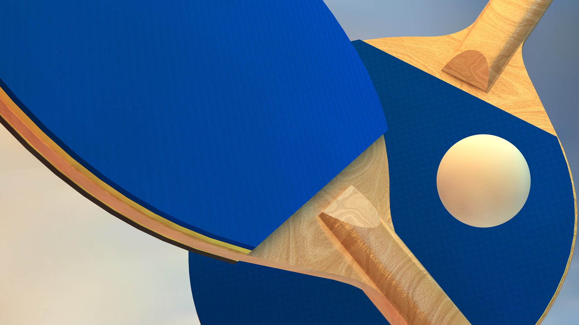 3d Table Tennis Racket Model